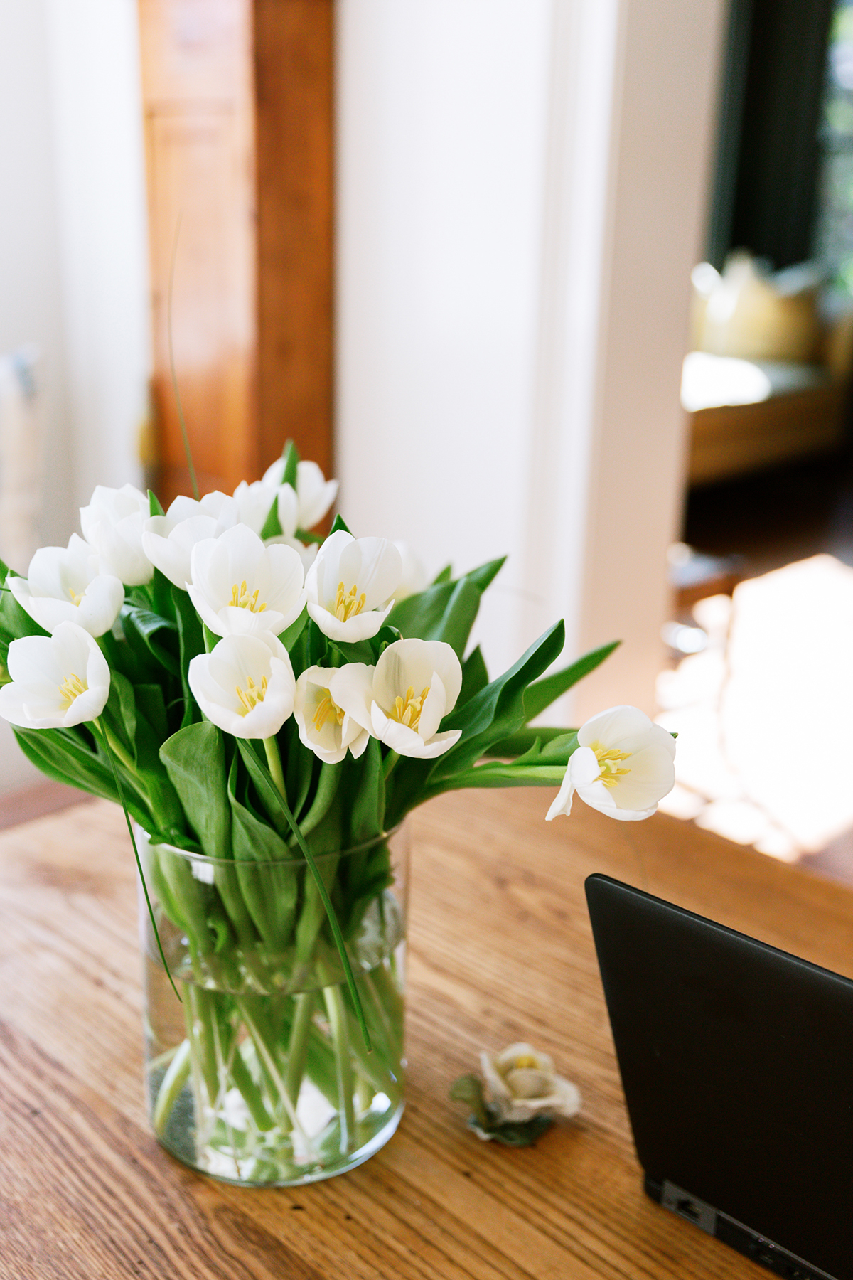 Elevae_23_0000004365