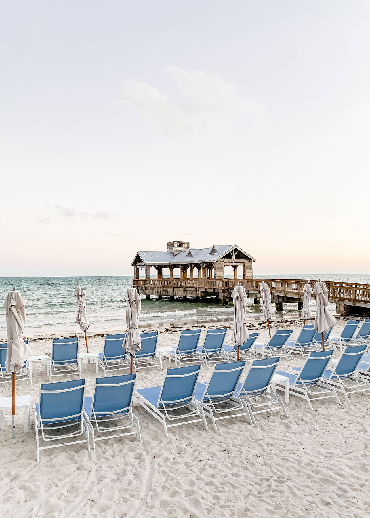 Elevae_23_0000004349