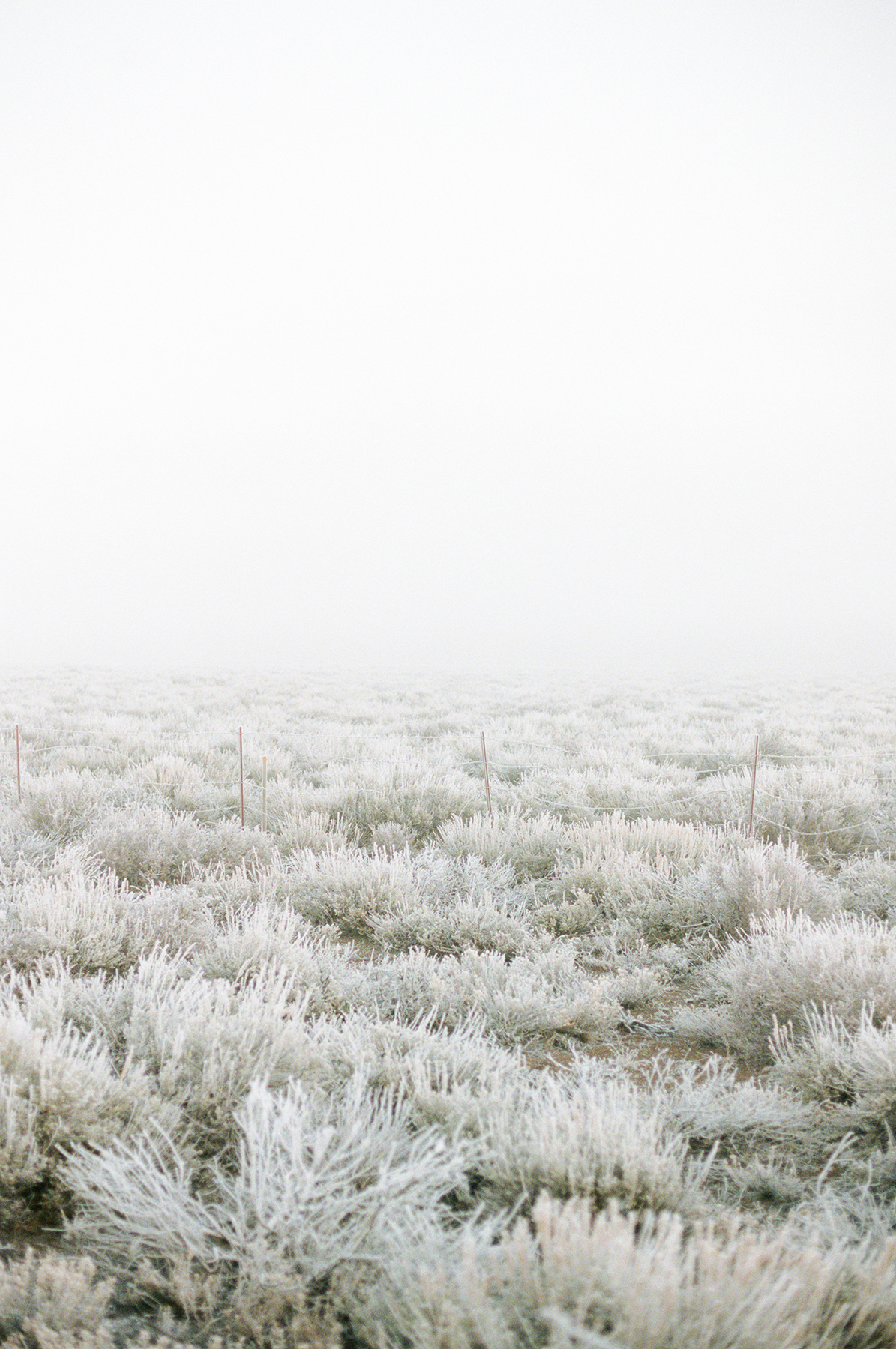 Elevae_23_0000004208