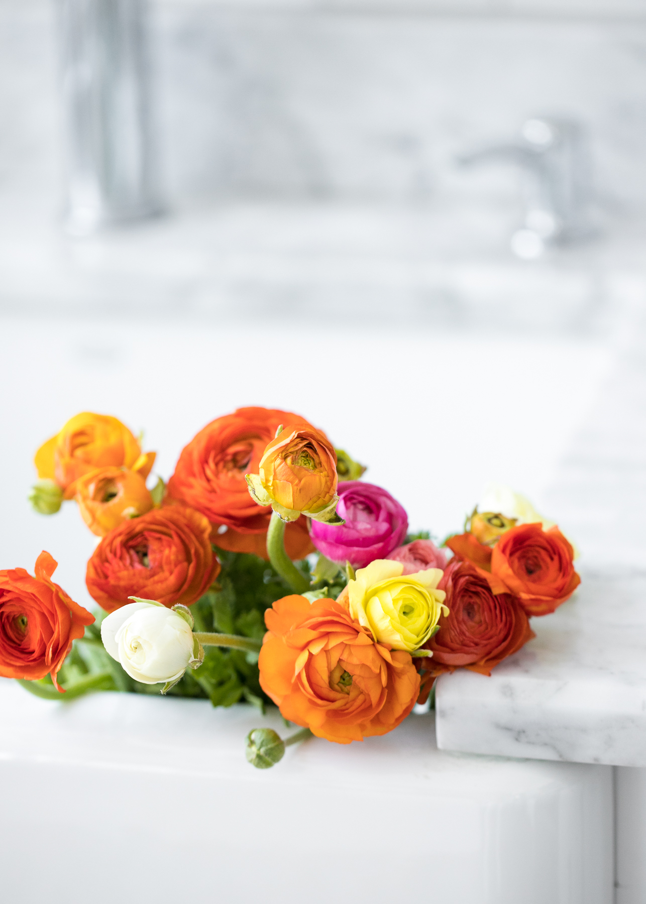 Elevae_23_0000004138