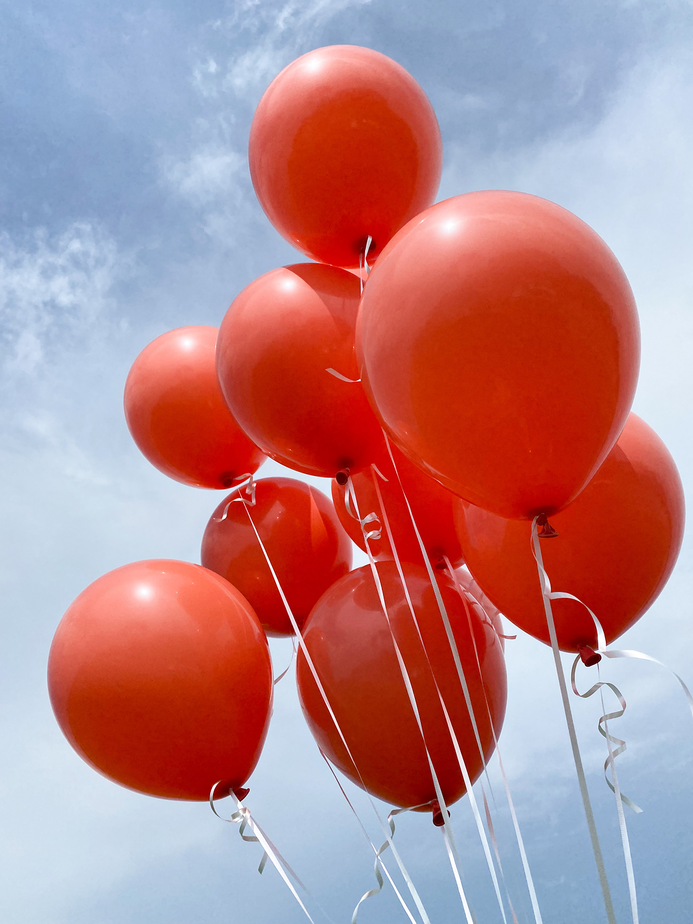 Elevae_23_0000004037