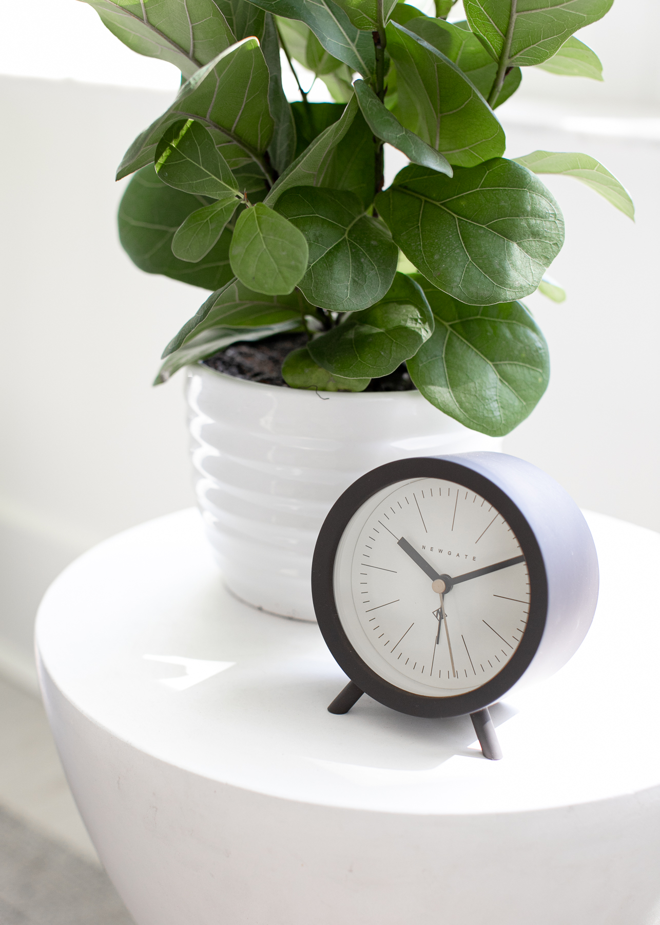 Elevae_23_0000004022