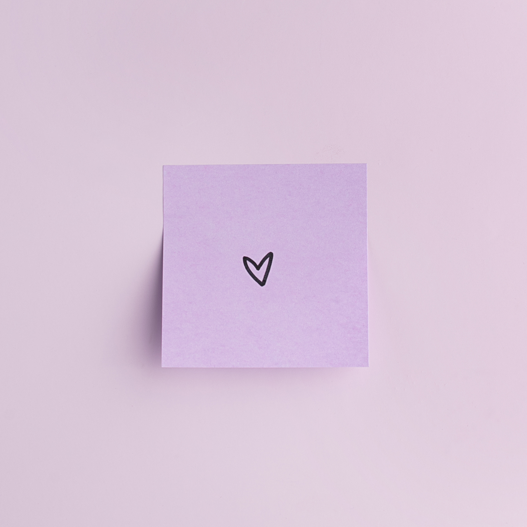 Elevae_23_0000003991