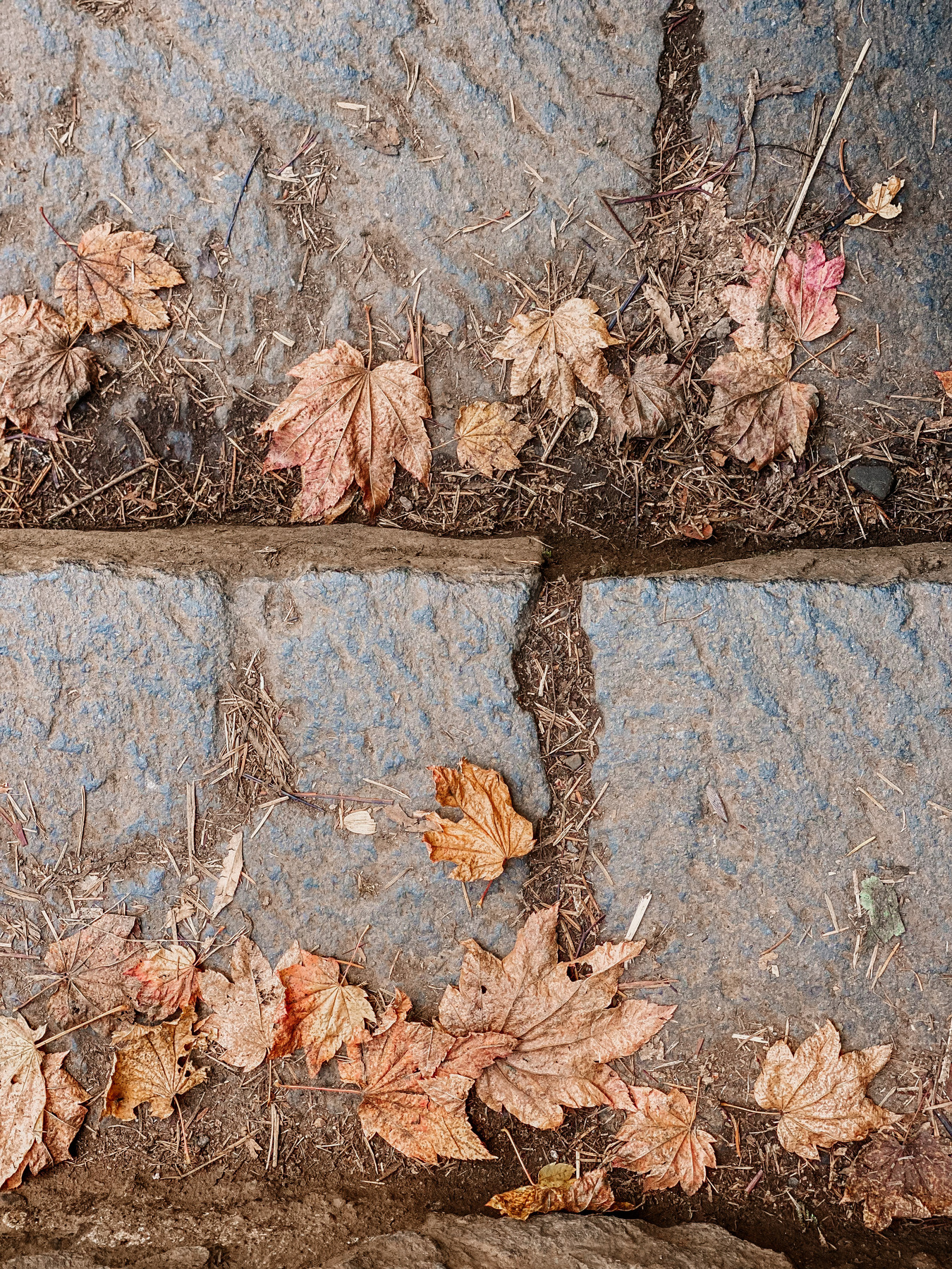 Elevae_23_0000003859