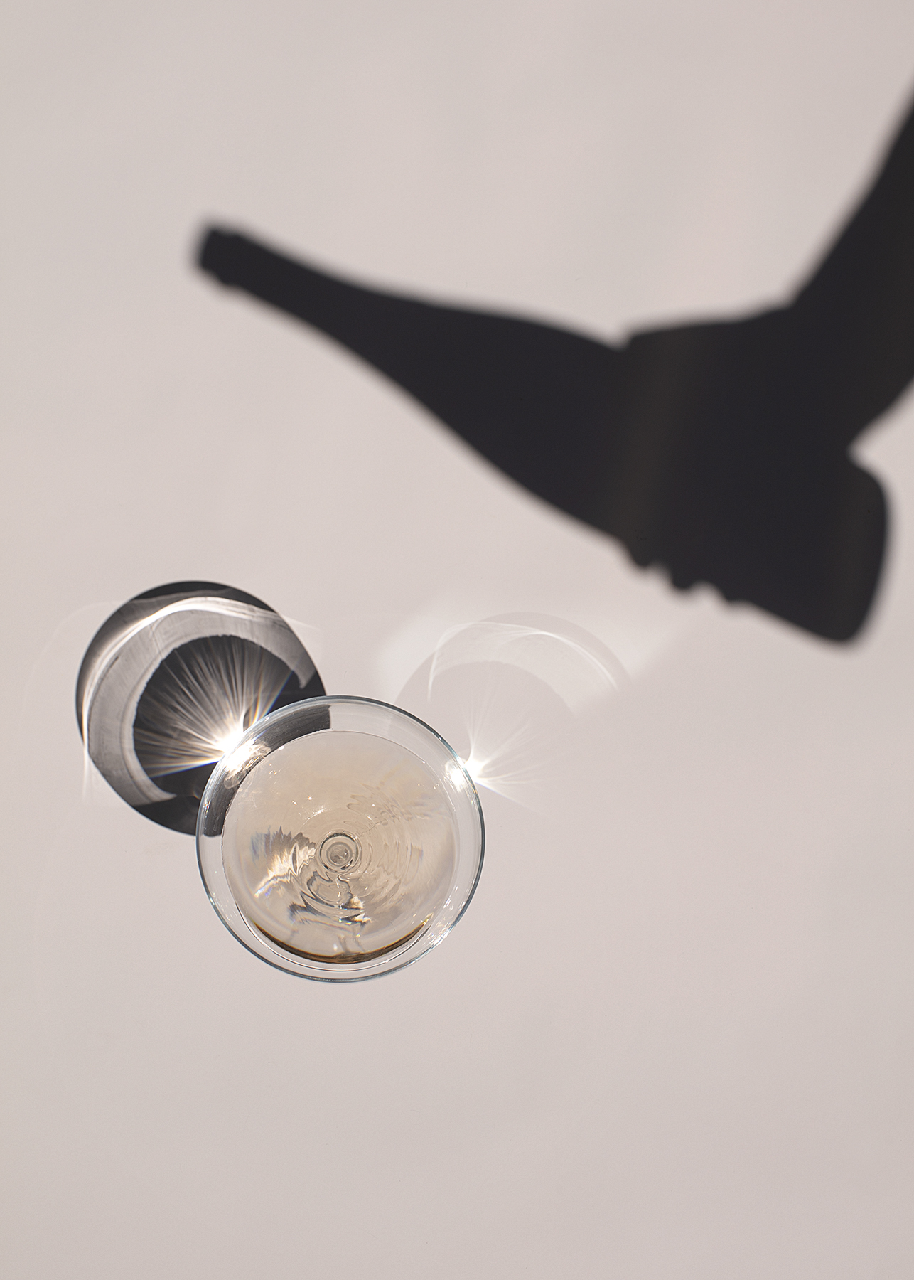 Elevae_23_0000003742