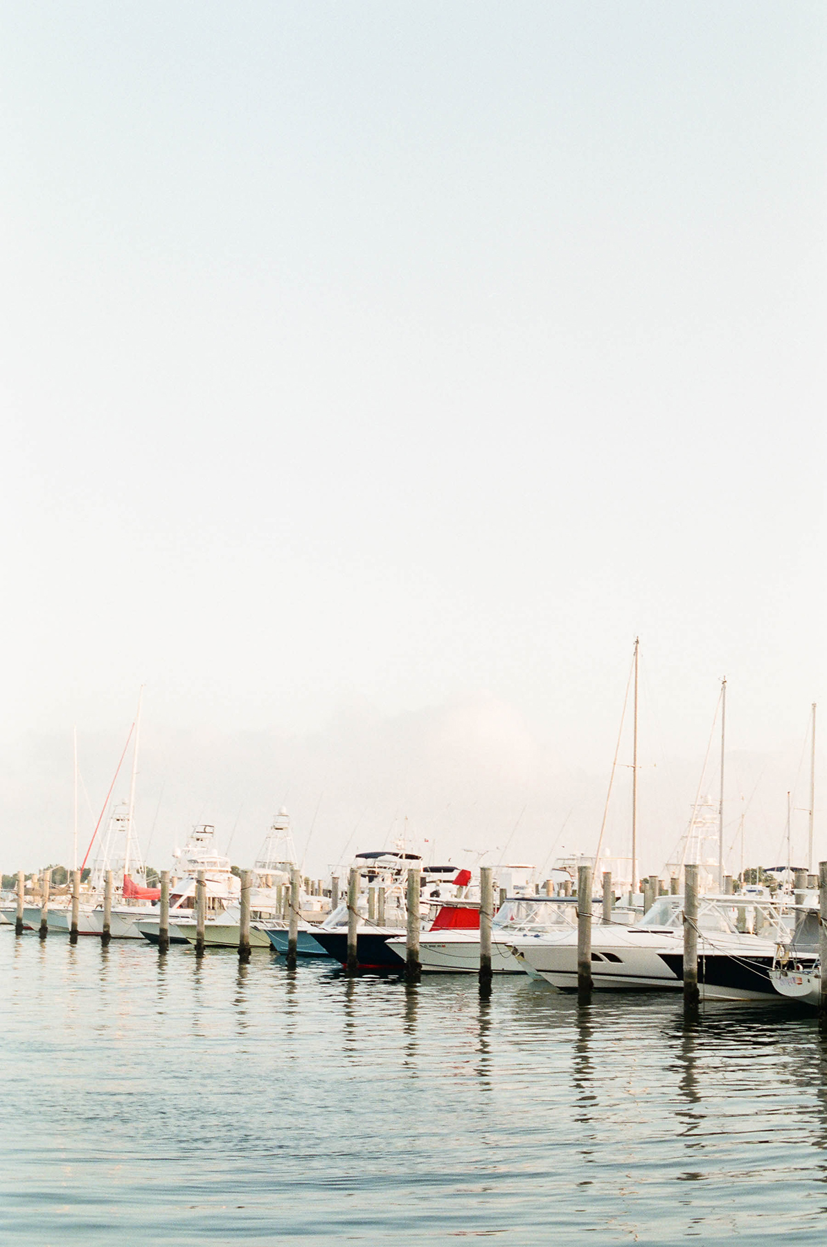 Elevae_23_0000003658