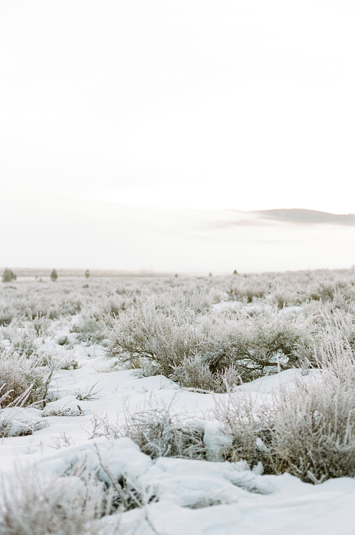 Elevae_23_0000003656