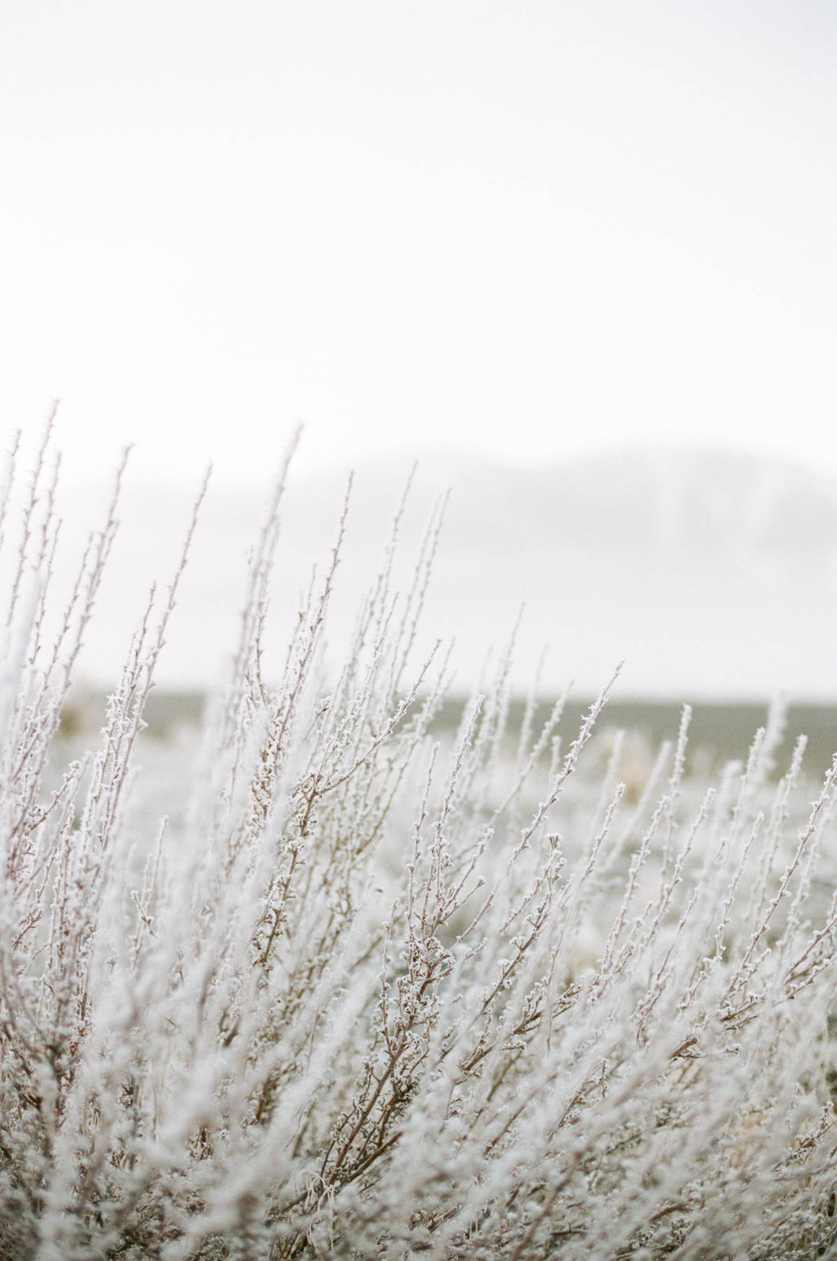 Elevae_23_0000003654