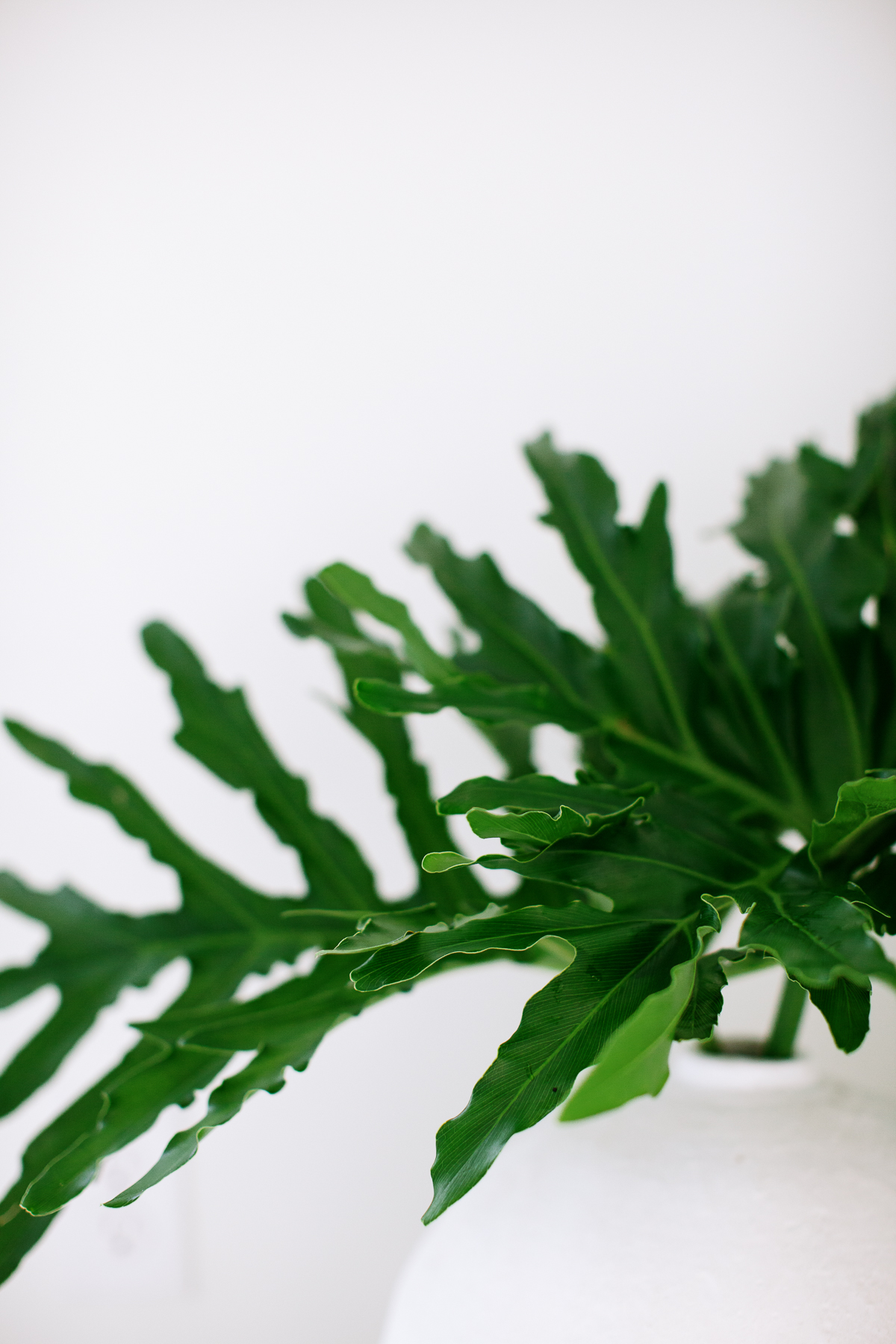 Elevae_23_0000003633