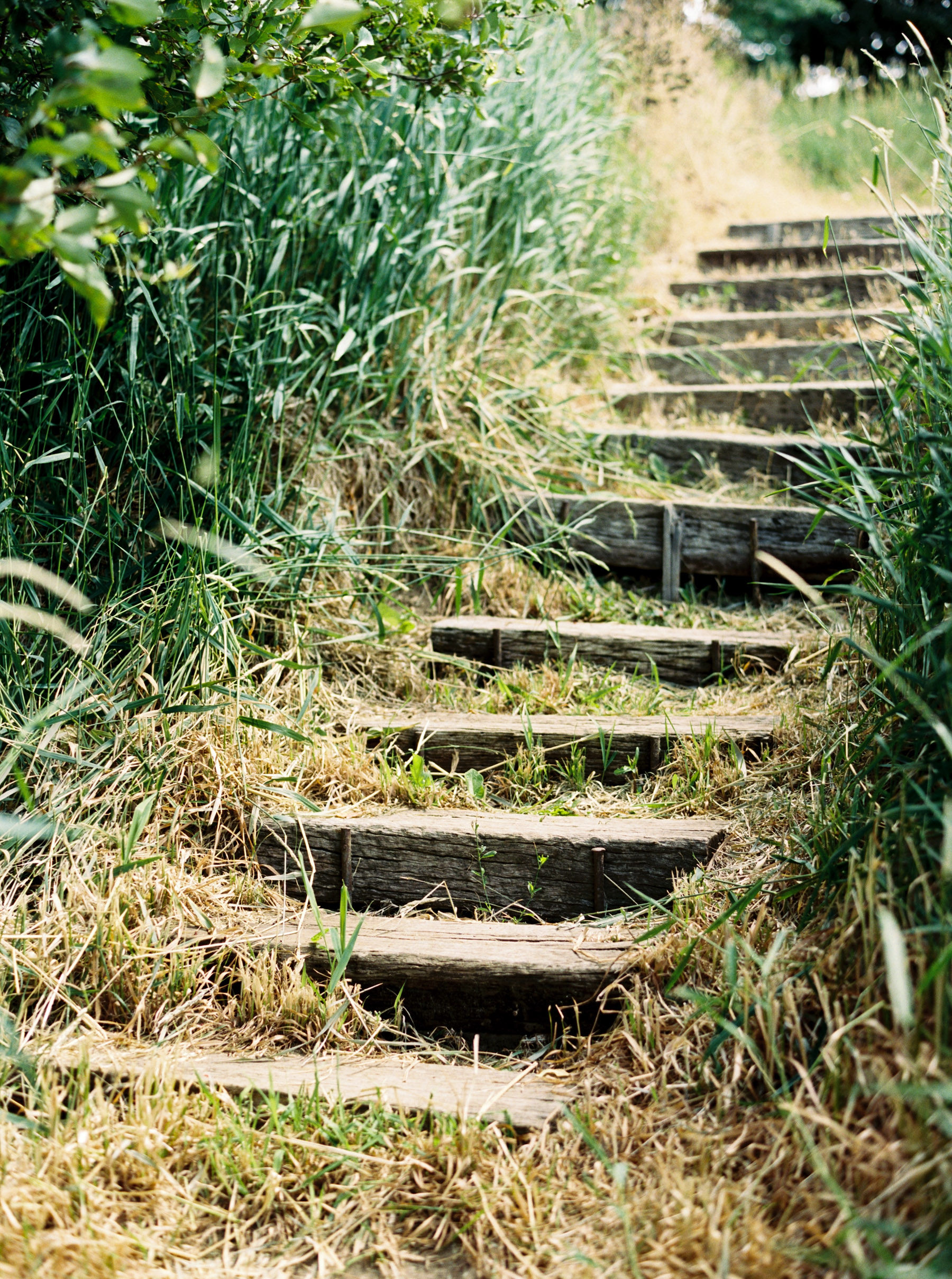 Elevae_23_0000003608