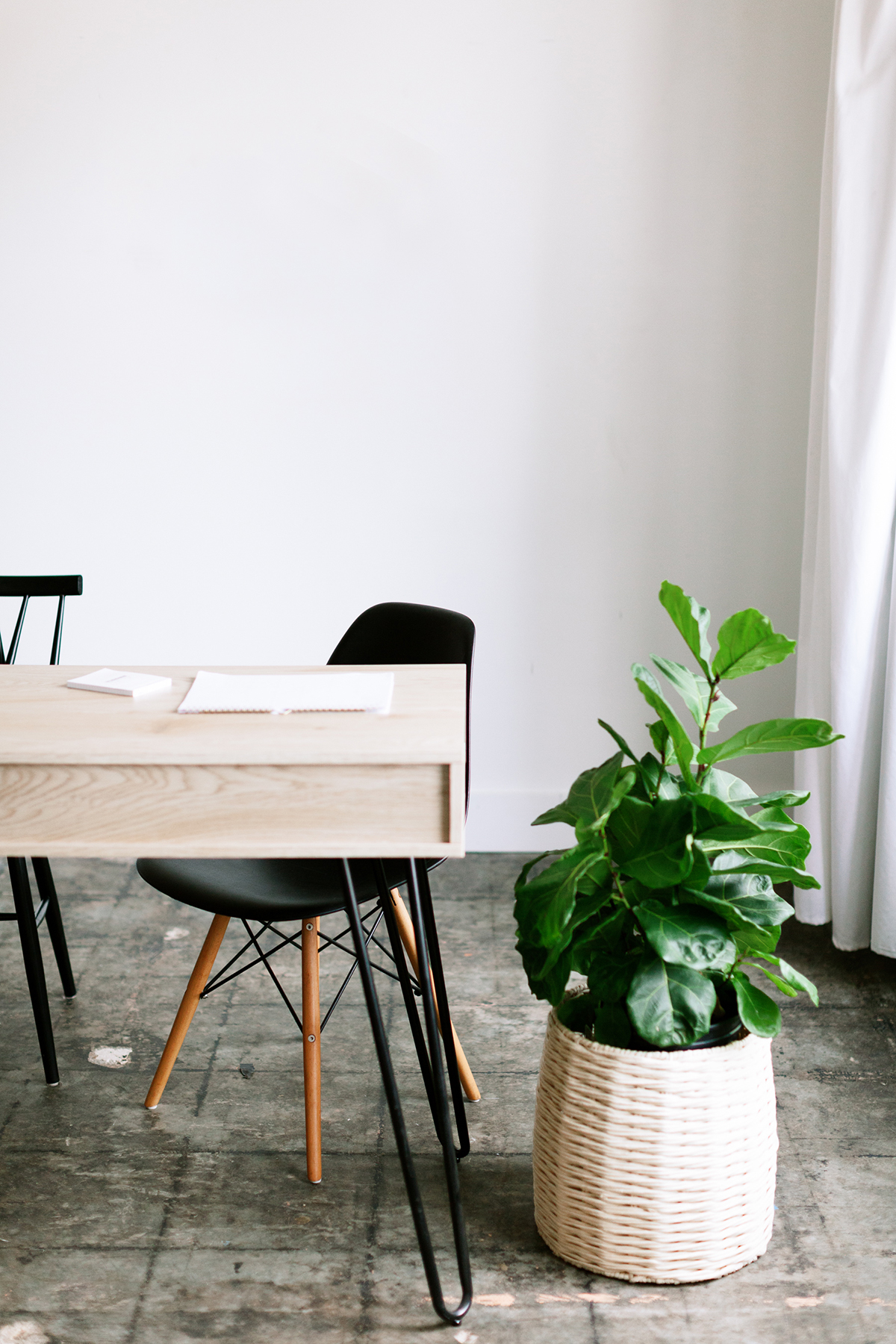 Elevae_23_0000003570