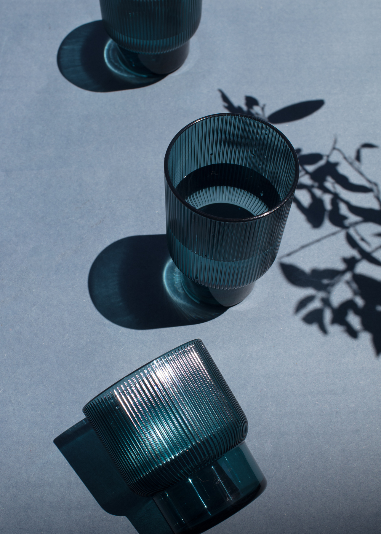 Elevae_23_0000003244