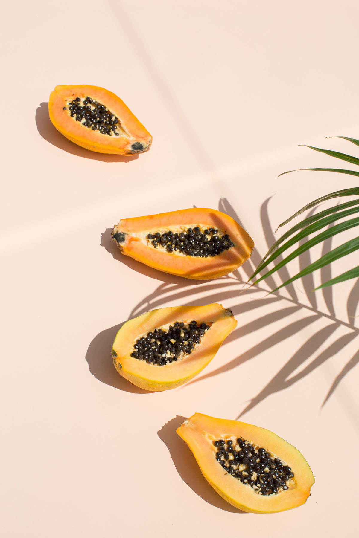 Elevae_23_0000003221