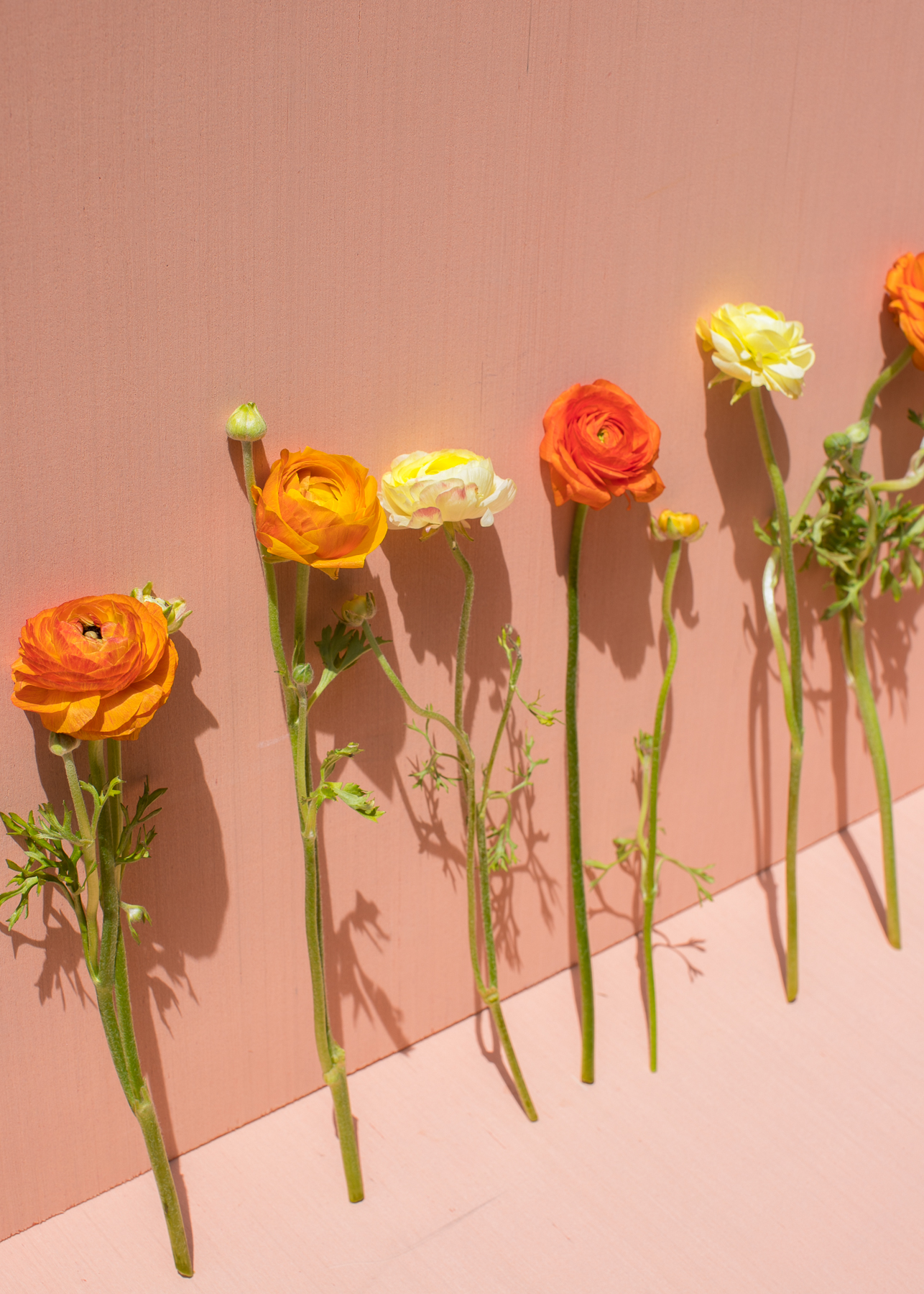 Elevae_23_0000003040