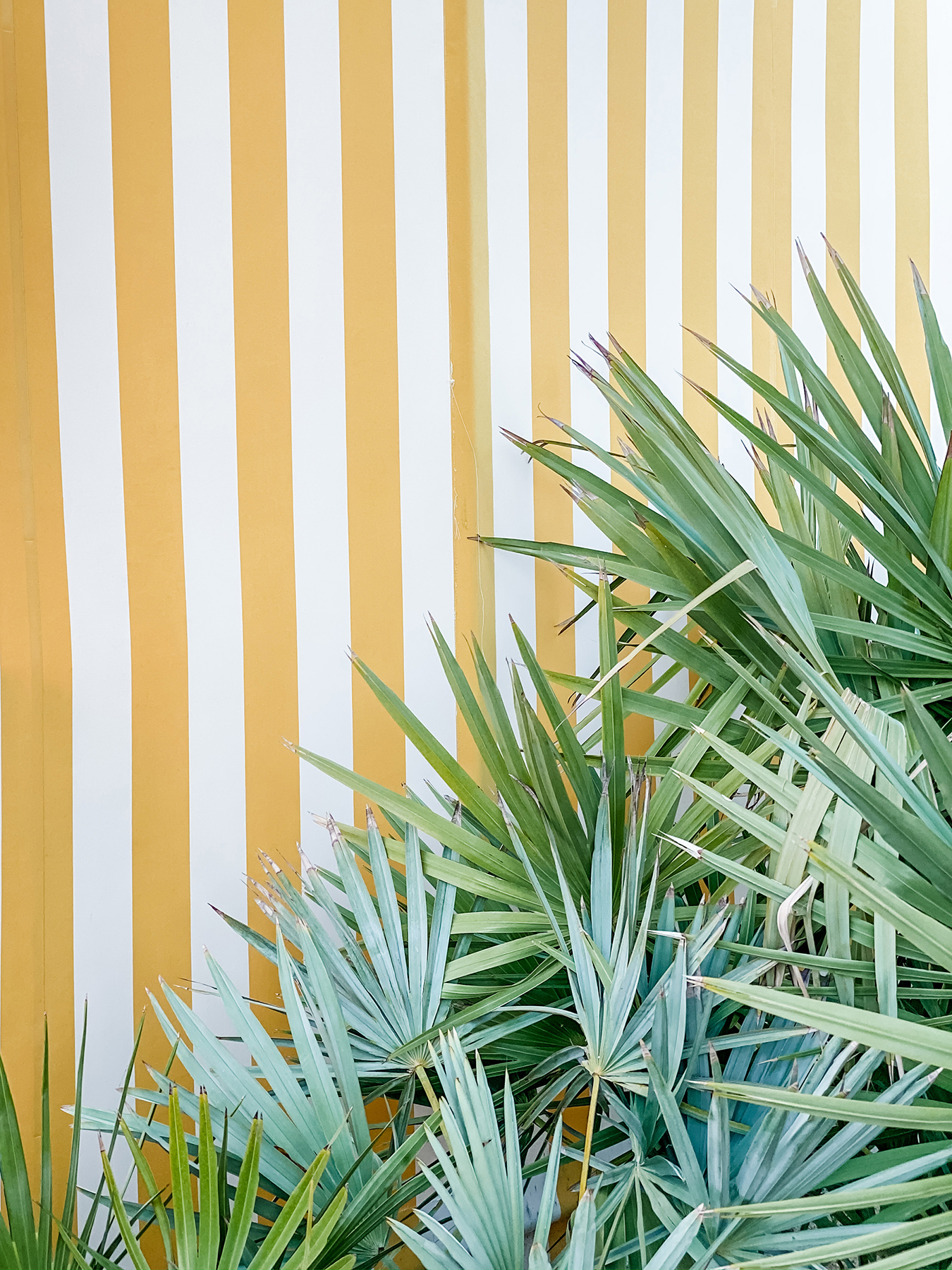 Elevae_23_0000003012