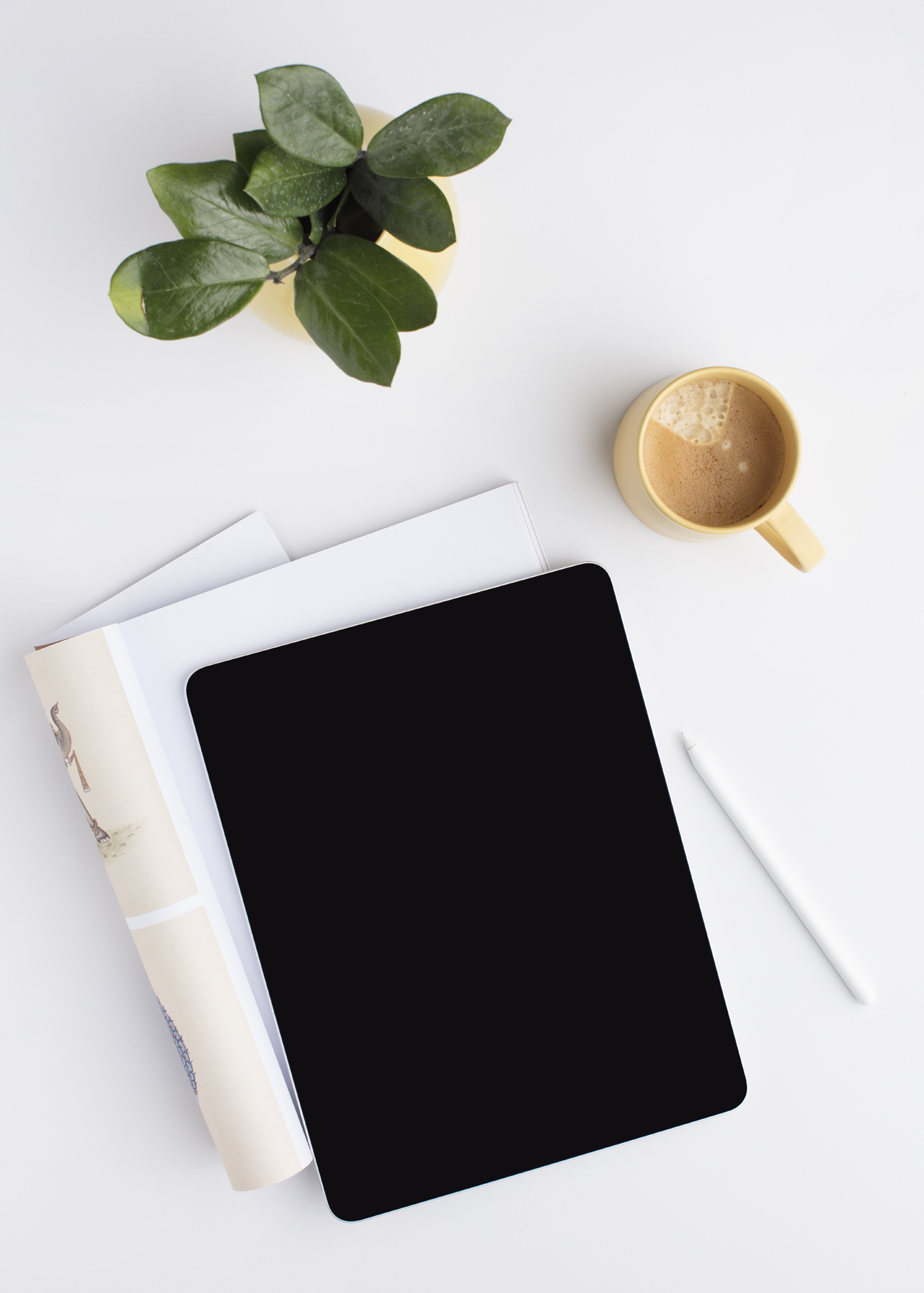 Elevae_23_0000003005