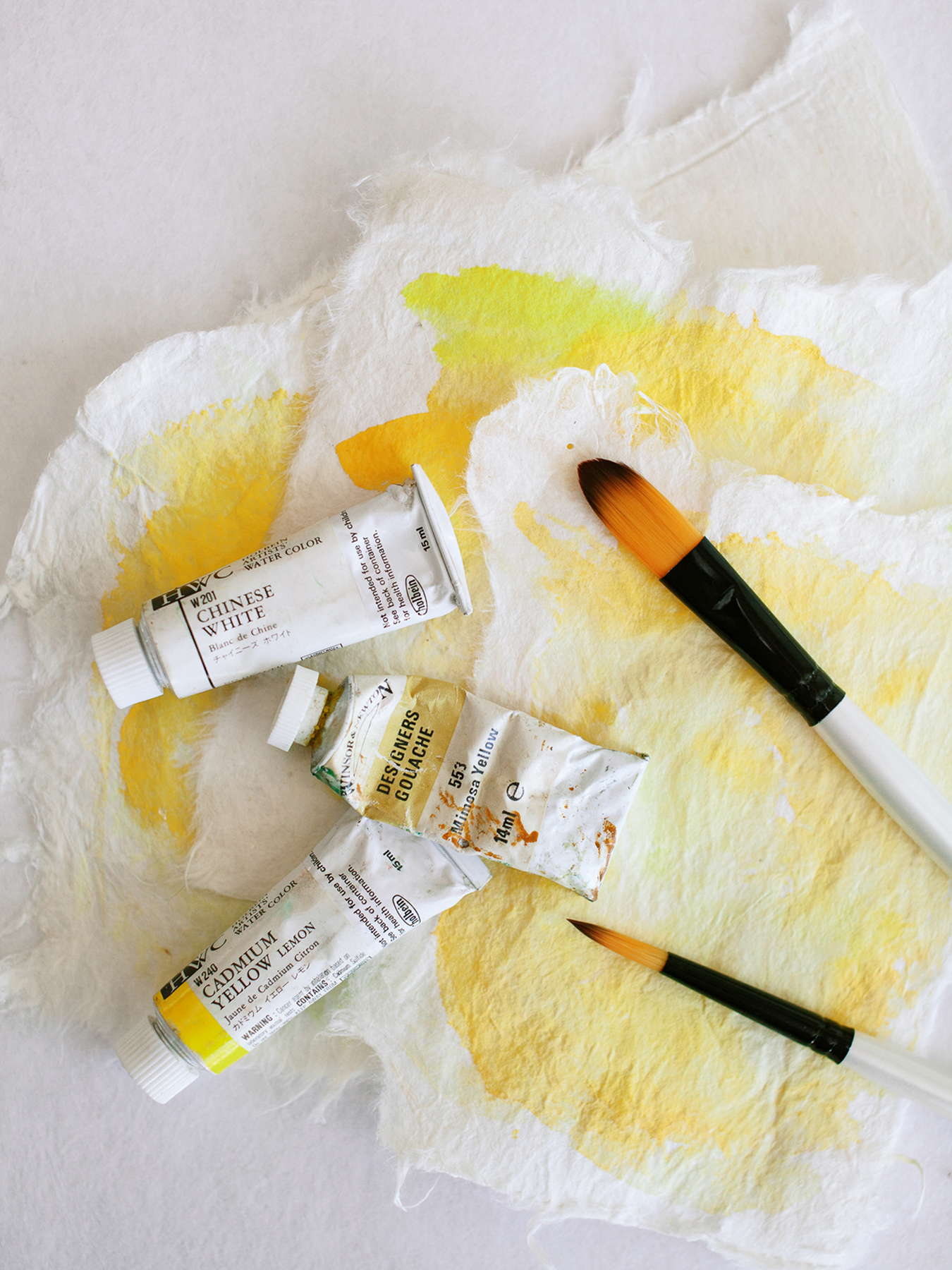 Elevae_23_0000002821