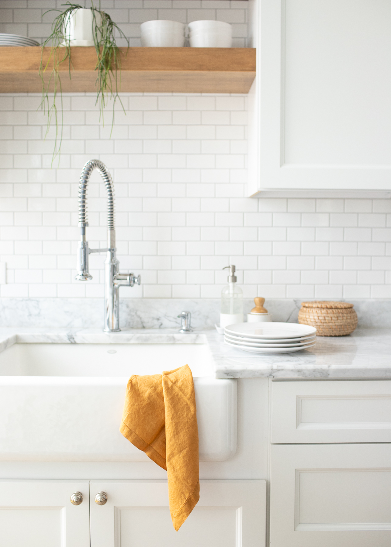 Elevae_23_0000002810