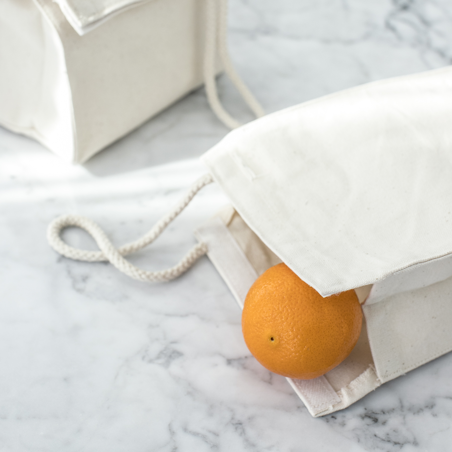 Elevae_23_0000002540