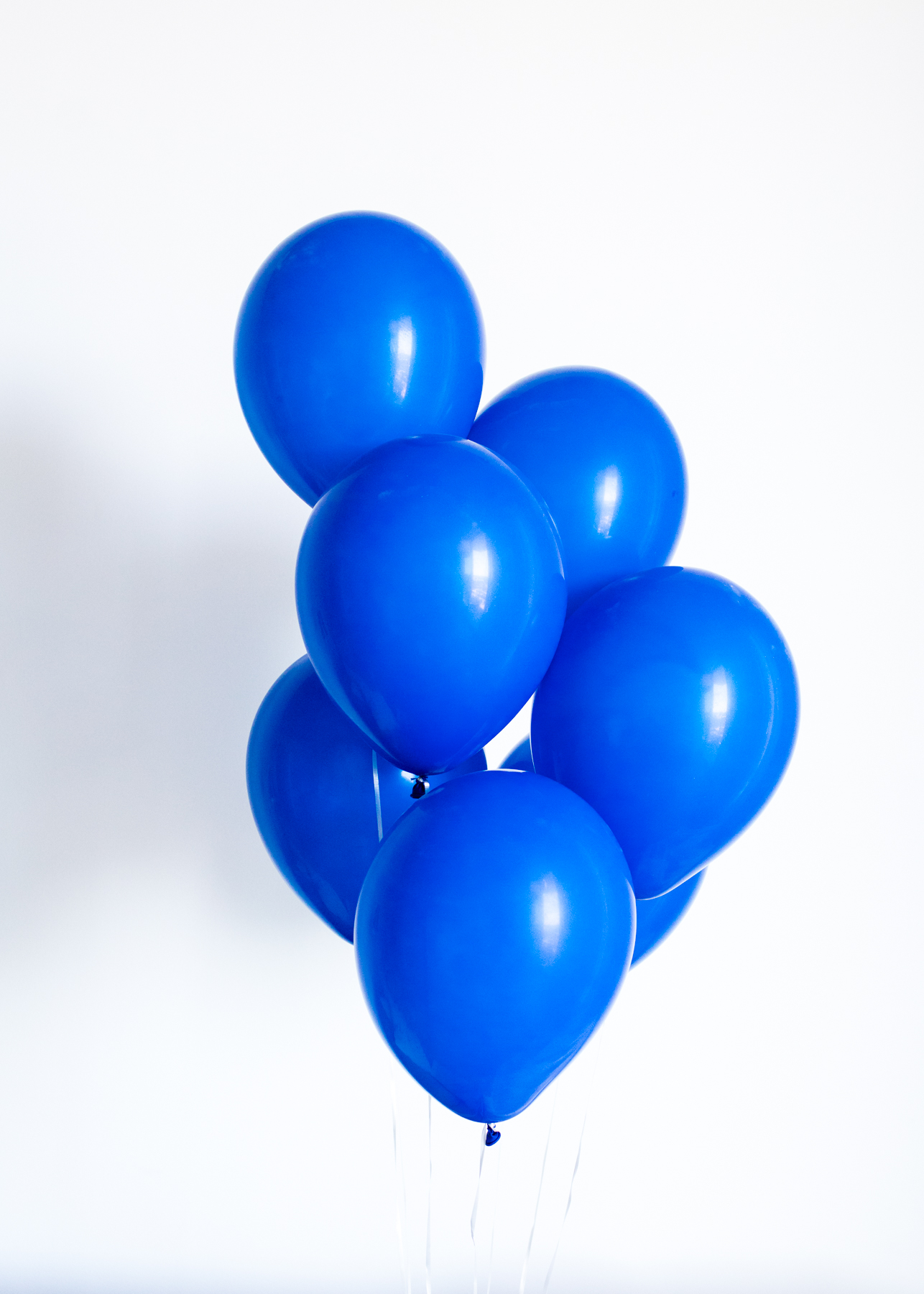 Elevae_23_0000002333