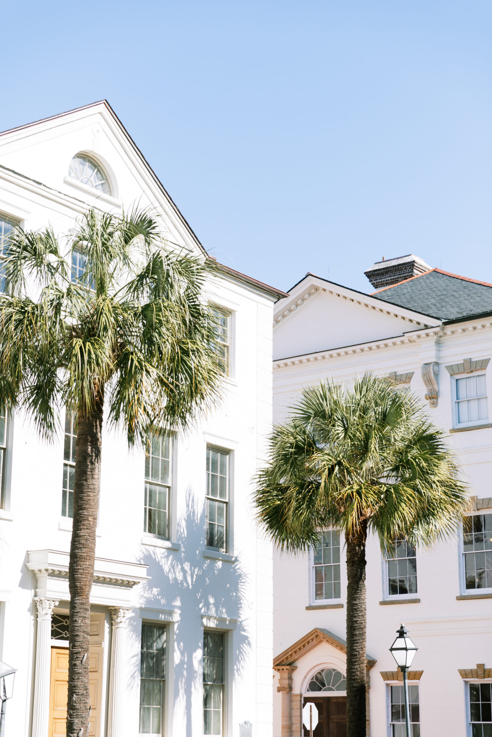 Elevae_23_0000002235