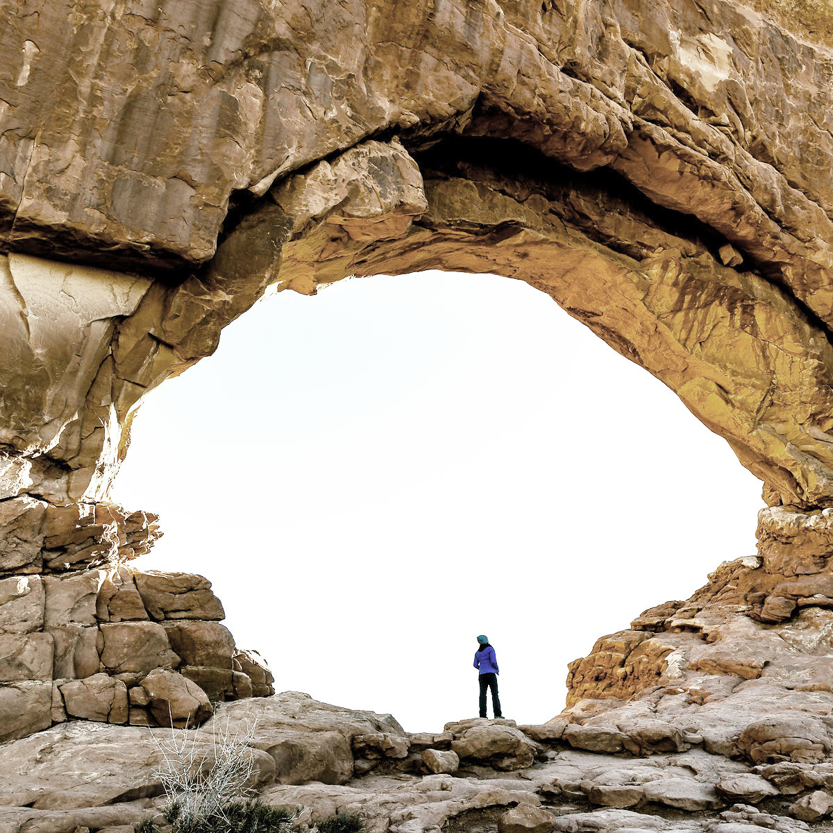 Elevae_23_0000001942