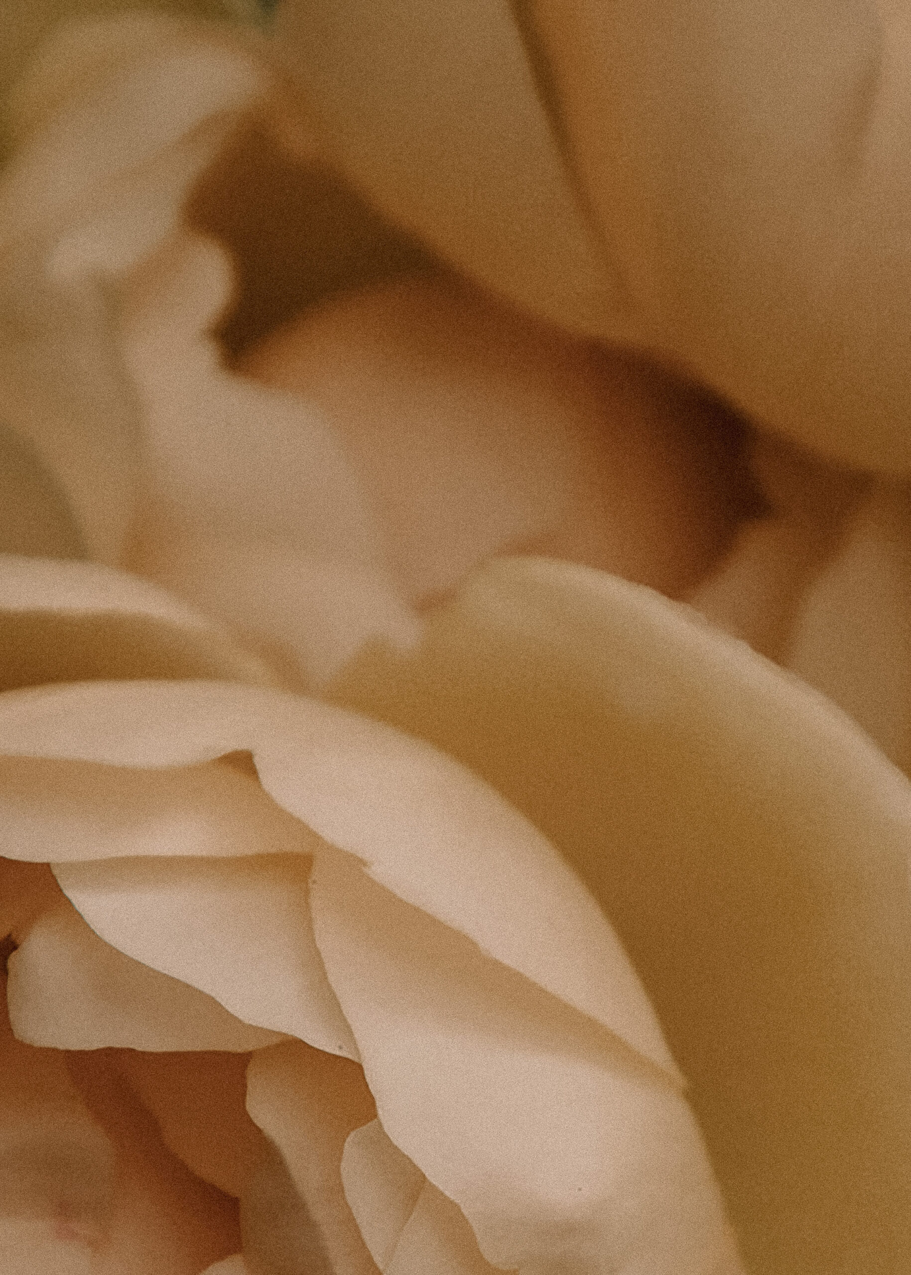 Elevae_1224_10322 (2)