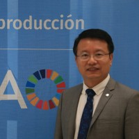 Lifeng LI Email & Phone Number | FAO Director (D2), Land and Water ...