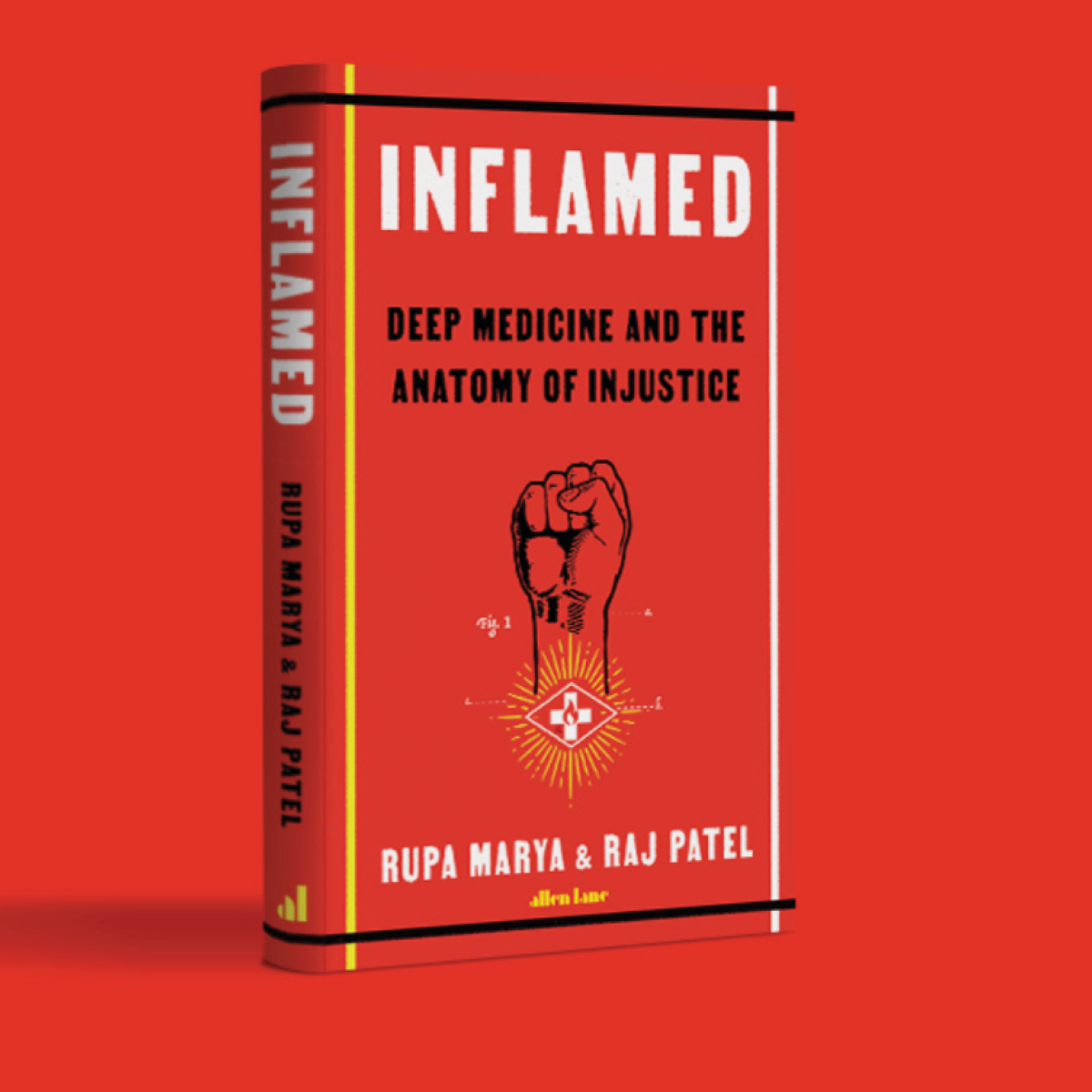 Open Access - Inflamed: Deep Medicine and the Anatomy of Injustice: A ...