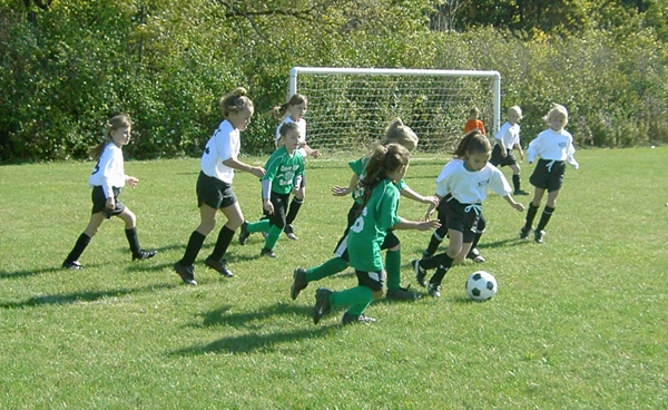 Parma Heights Recreation Spring Sports - Parma Observer