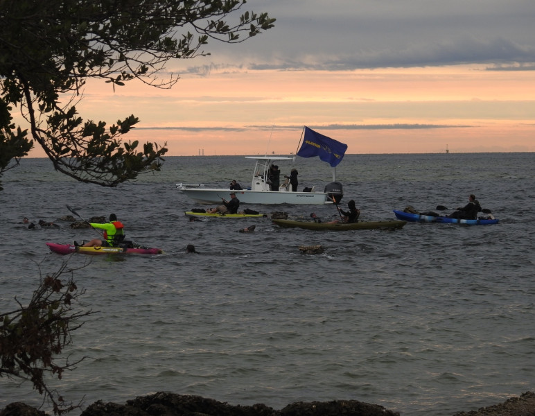 Tampa Bay Frogman Swim 2025