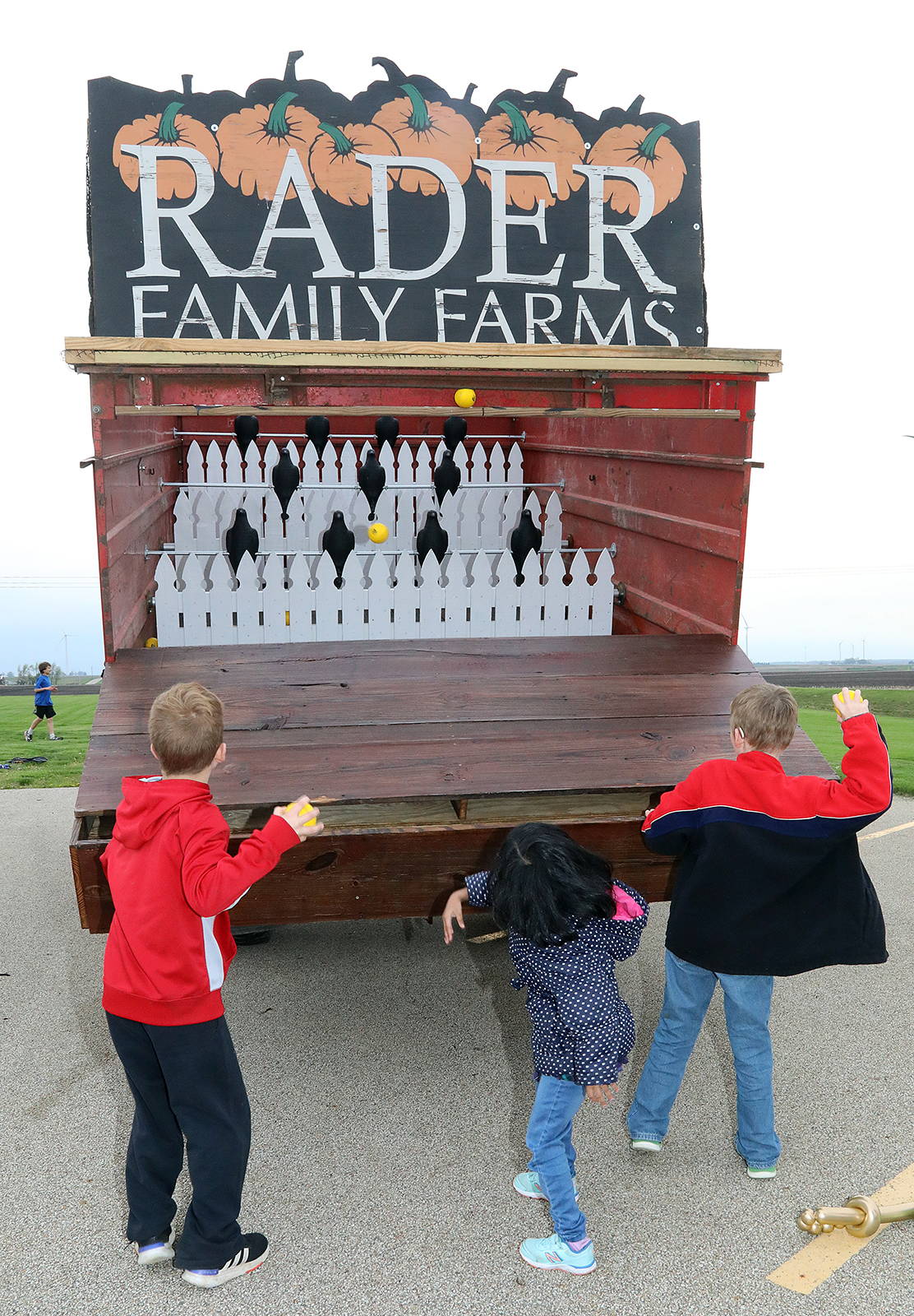 Rader Family Farms | Activities