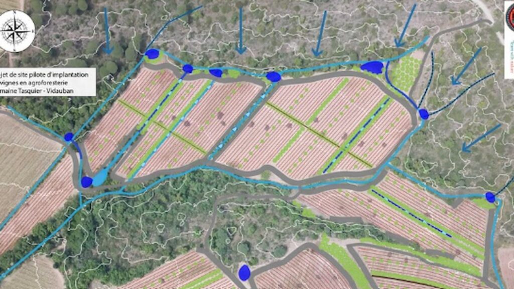 Water Use | Regenerative Viticulture Foundation