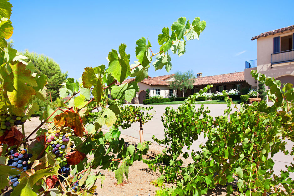 33413 Susan Grace Ct Temecula, California by Janene Hogan