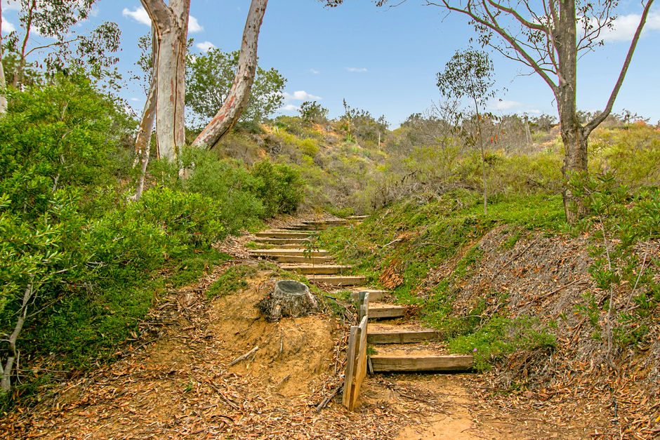 1810 S. El Camino Real Unit 205 Encinitas, California by Sam Fakih