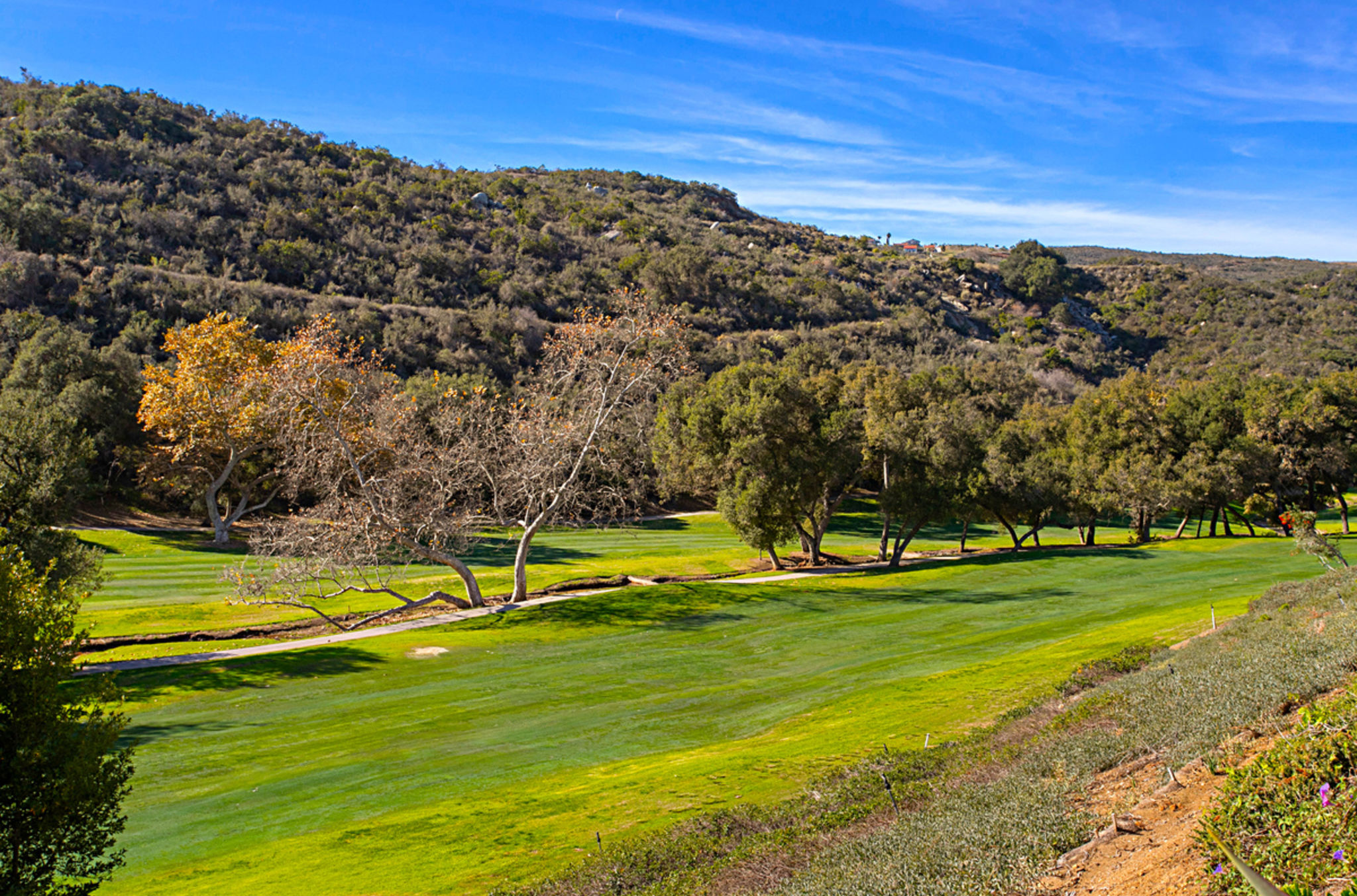 2286 Vista Valley Lane Vista, California by Debra Avey