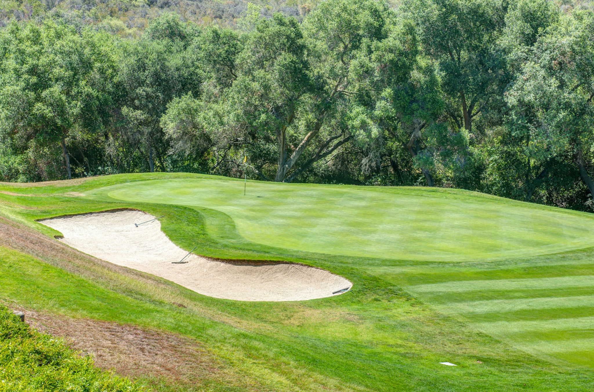 2286 Vista Valley Lane Vista, California by Debra Avey