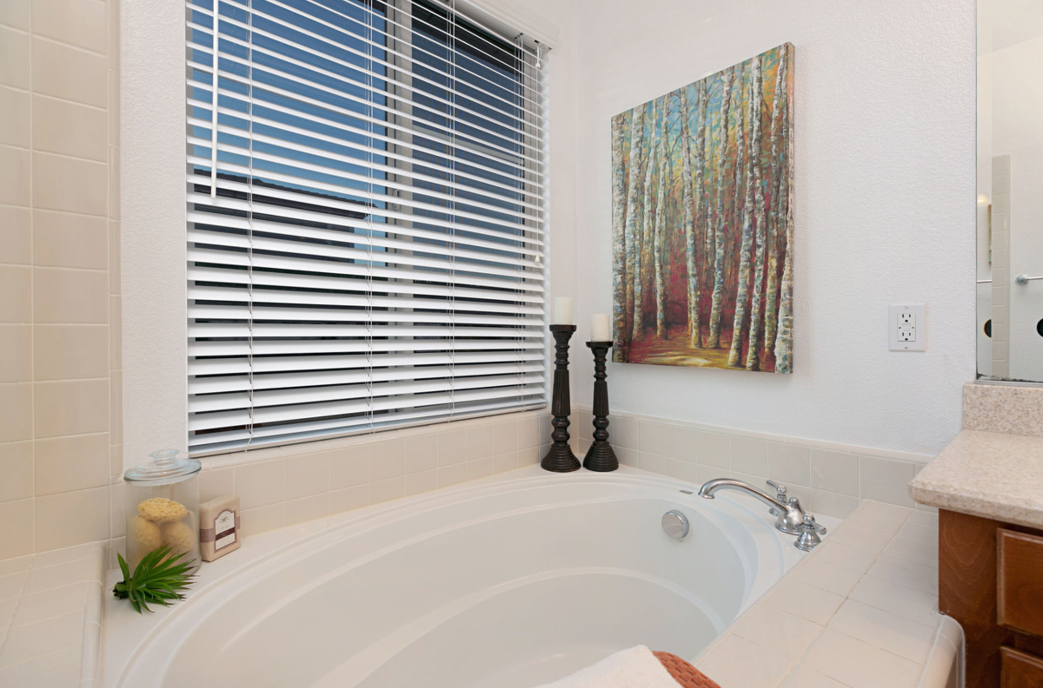 267 Violet Ave San Marcos, California by Barrie & AnneMarie Crake