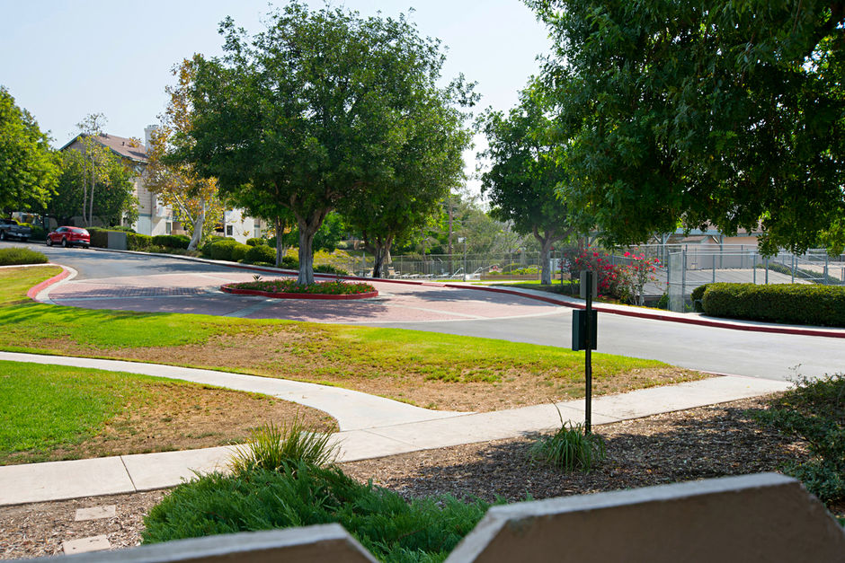 2956 Elm Tree Spring Valley, California by Maryann Augustine