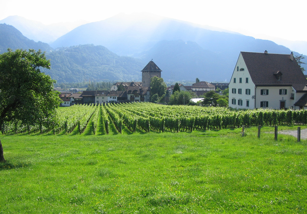 Urlaub Maienfeld: Aktuelle Informationen für Ihren Urlaub Maienfeld in ...