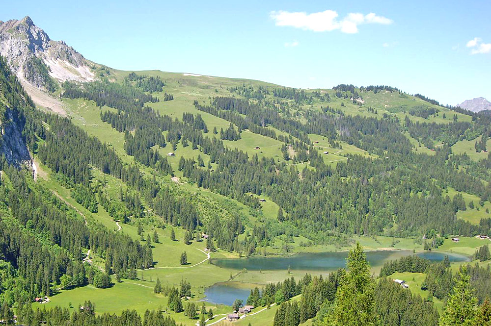 Urlaub Lauenen: Aktuelle Informationen für Ihren Urlaub Lauenen in Bern ...