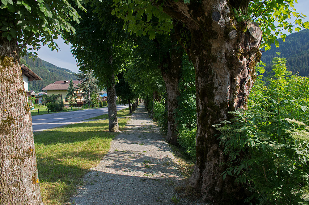 Urlaub Eben im Pongau: Aktuelle Informationen für Ihren Urlaub Eben im ...