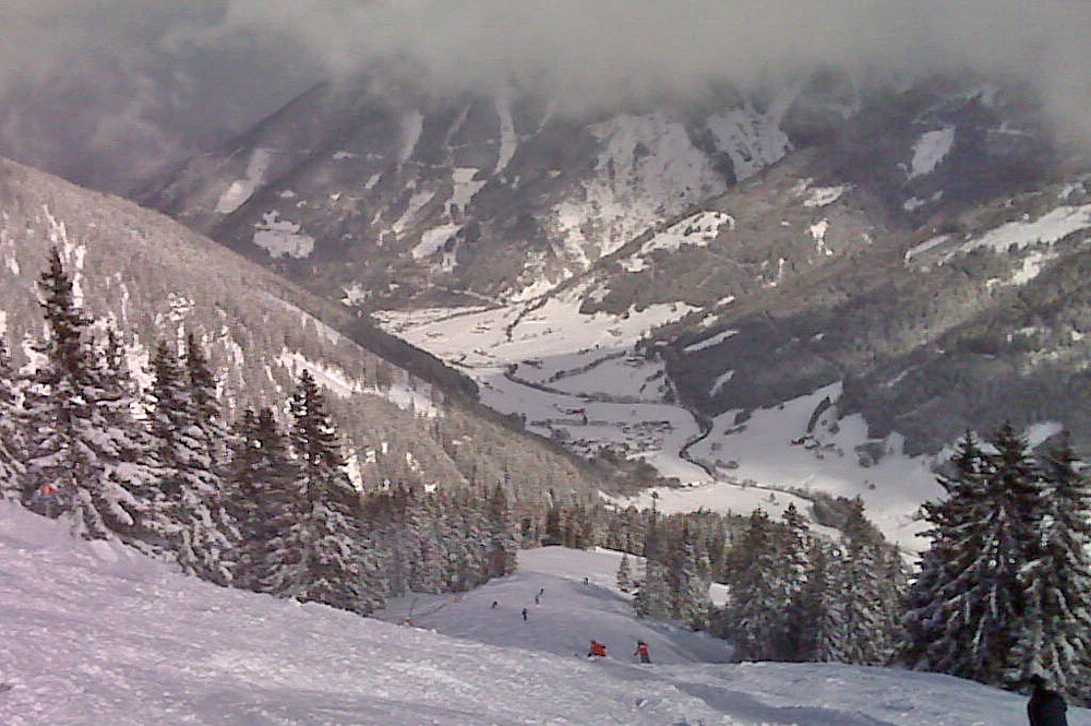 Tourismus Donnersbachwald in der Steiermark