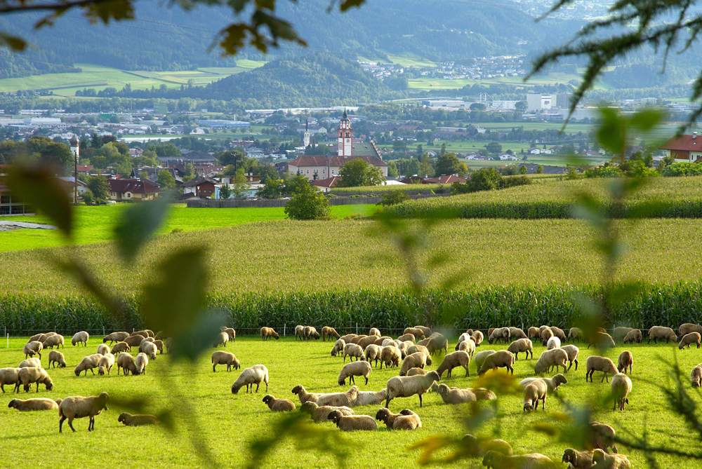 Urlaub Absam: Aktuelle Informationen für Ihren Urlaub Absam in Tirol