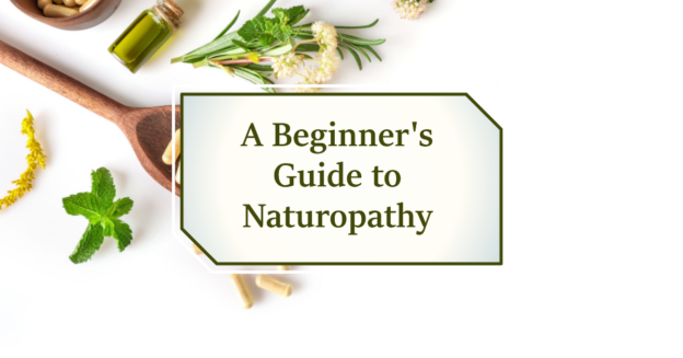 A Beginner's Guide to Naturopathy: What You Need to Know