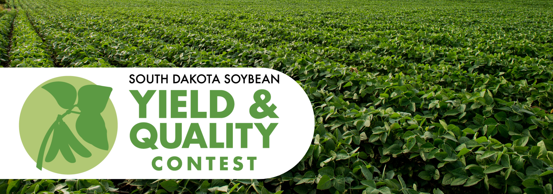 South Dakota Soybean | South Dakota Soybean