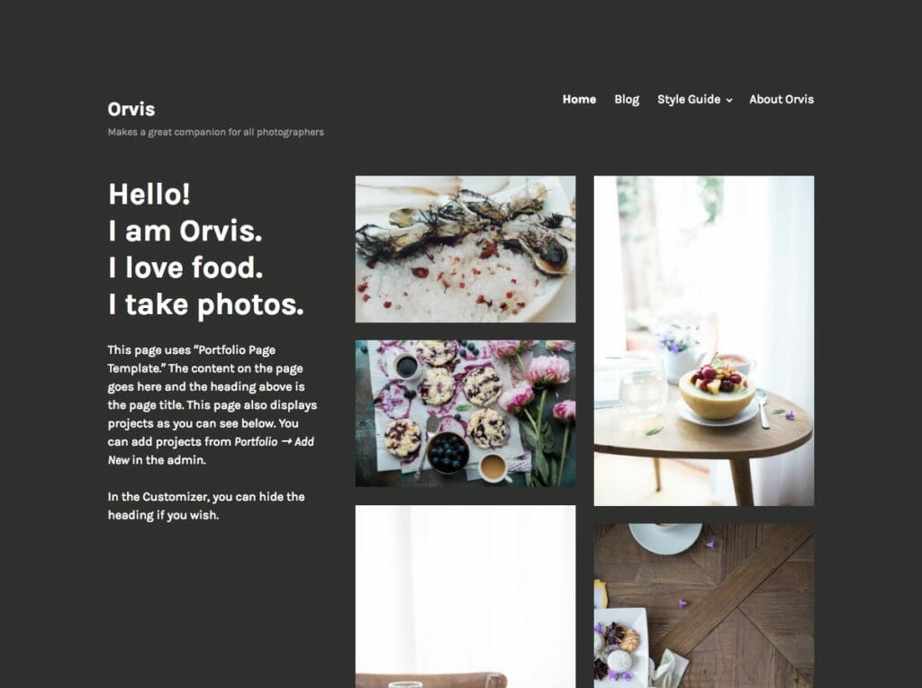 9 Free Portfolio Templates to Showcase Your Skills - Skillcrush