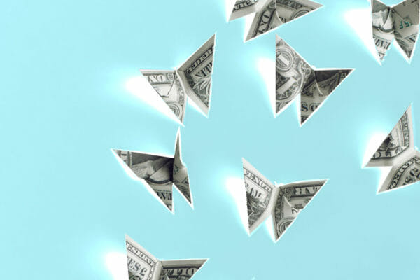 Adda Birnir, Author at Skillcrush