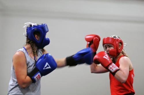 | News | The Harvard Crimson