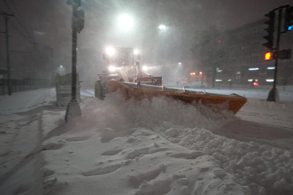 The Nemonic Plague | News | The Harvard Crimson